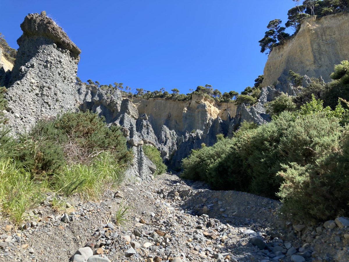 New Zealand- Wellington and Putangirua Pinnacles | mytravelbugbite
